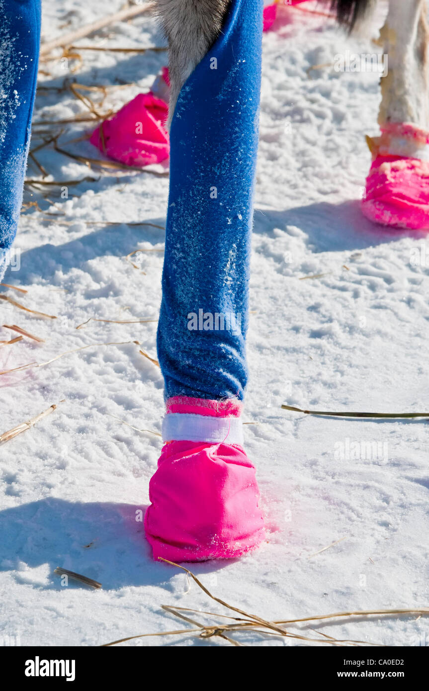 Fashion statements hi-res stock photography and images - Alamy