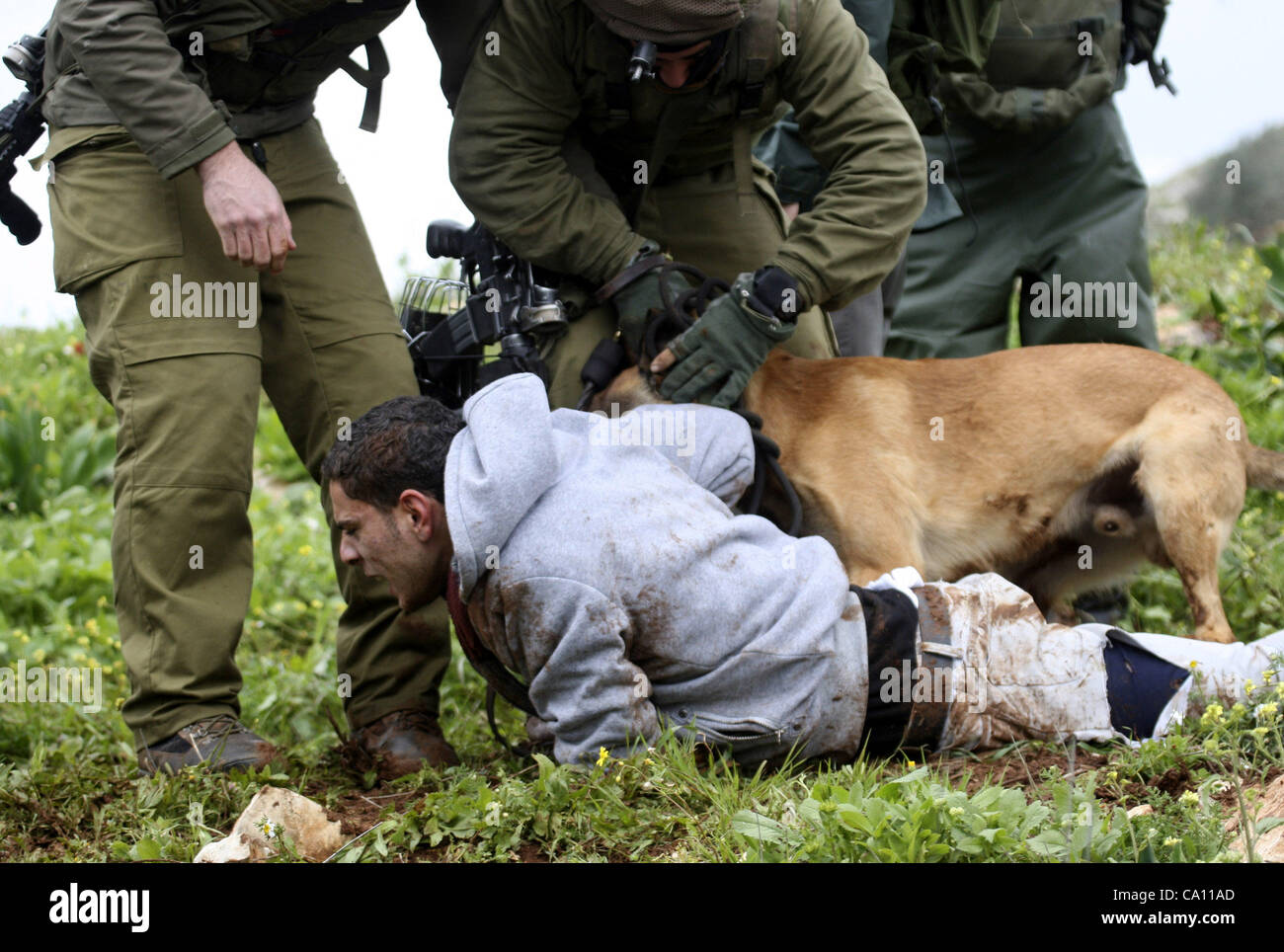 Israeli army dog hi-res stock photography and images - Alamy