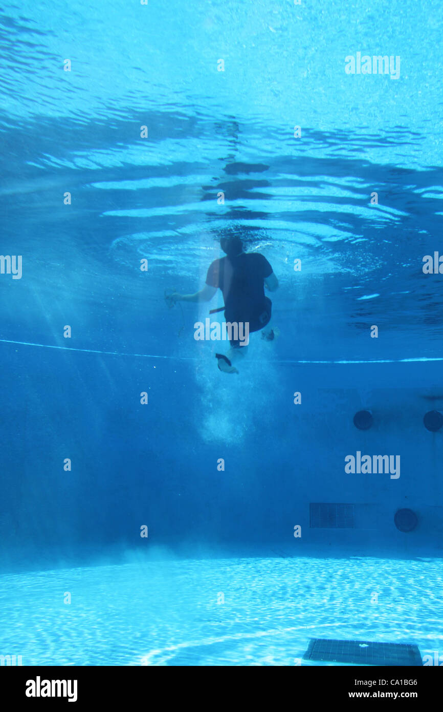 Escape artist water tank hi-res stock photography and images - Alamy