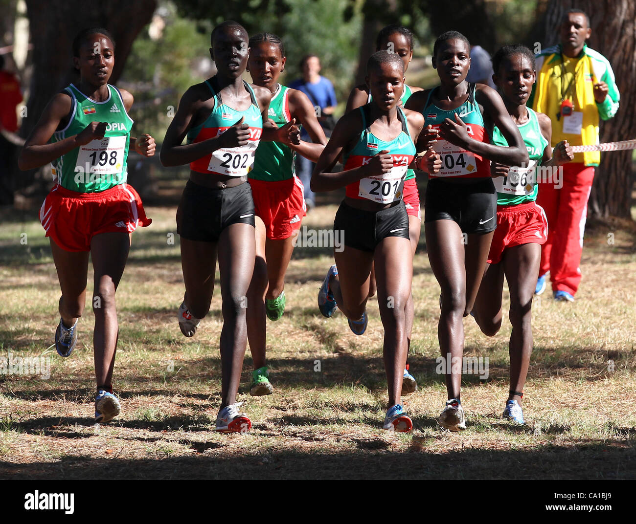 South africa western cape cape town keurboom park rondebosch hi-res ...