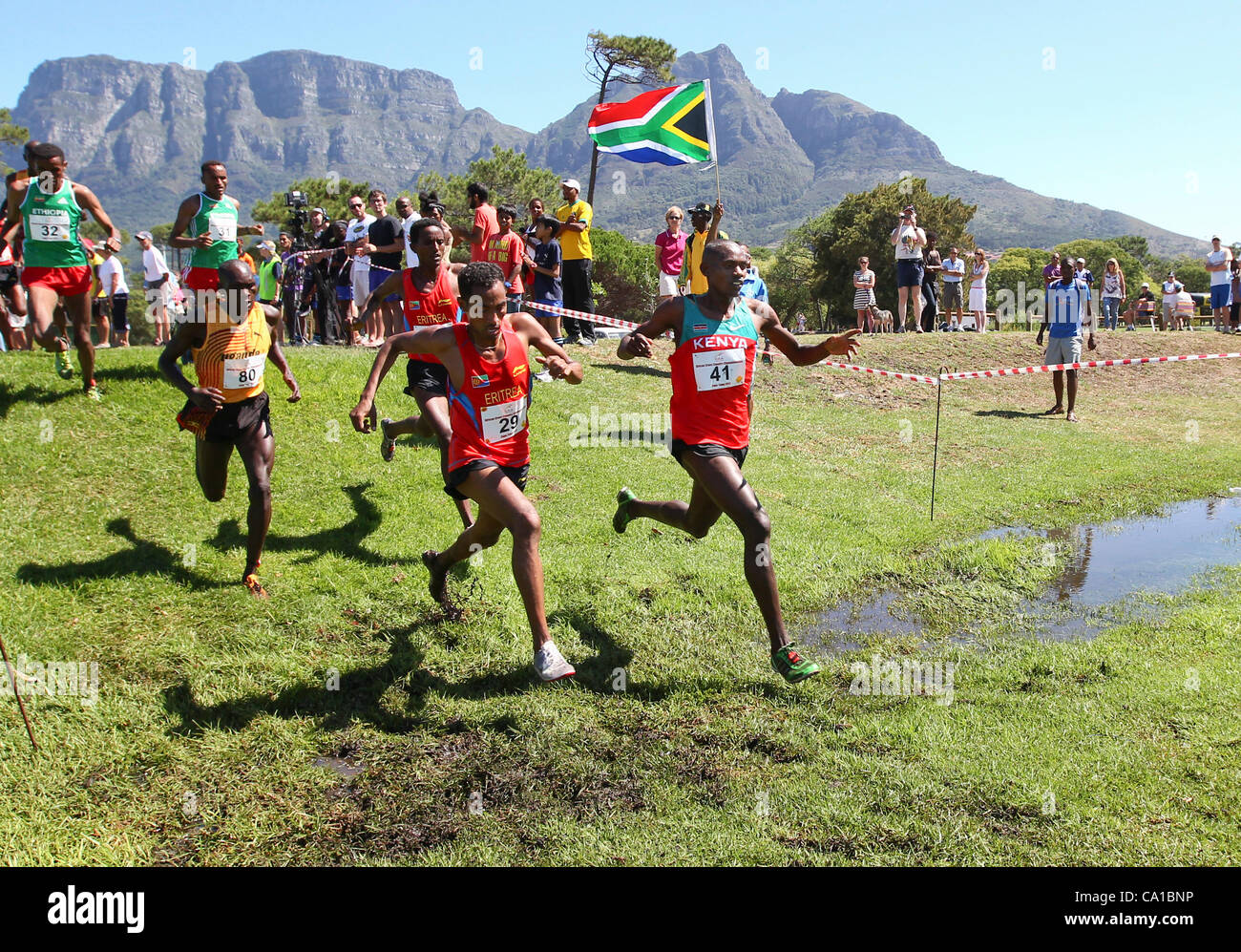 Rondebosch south africa western cape cape town keurboom park rondebosch ...