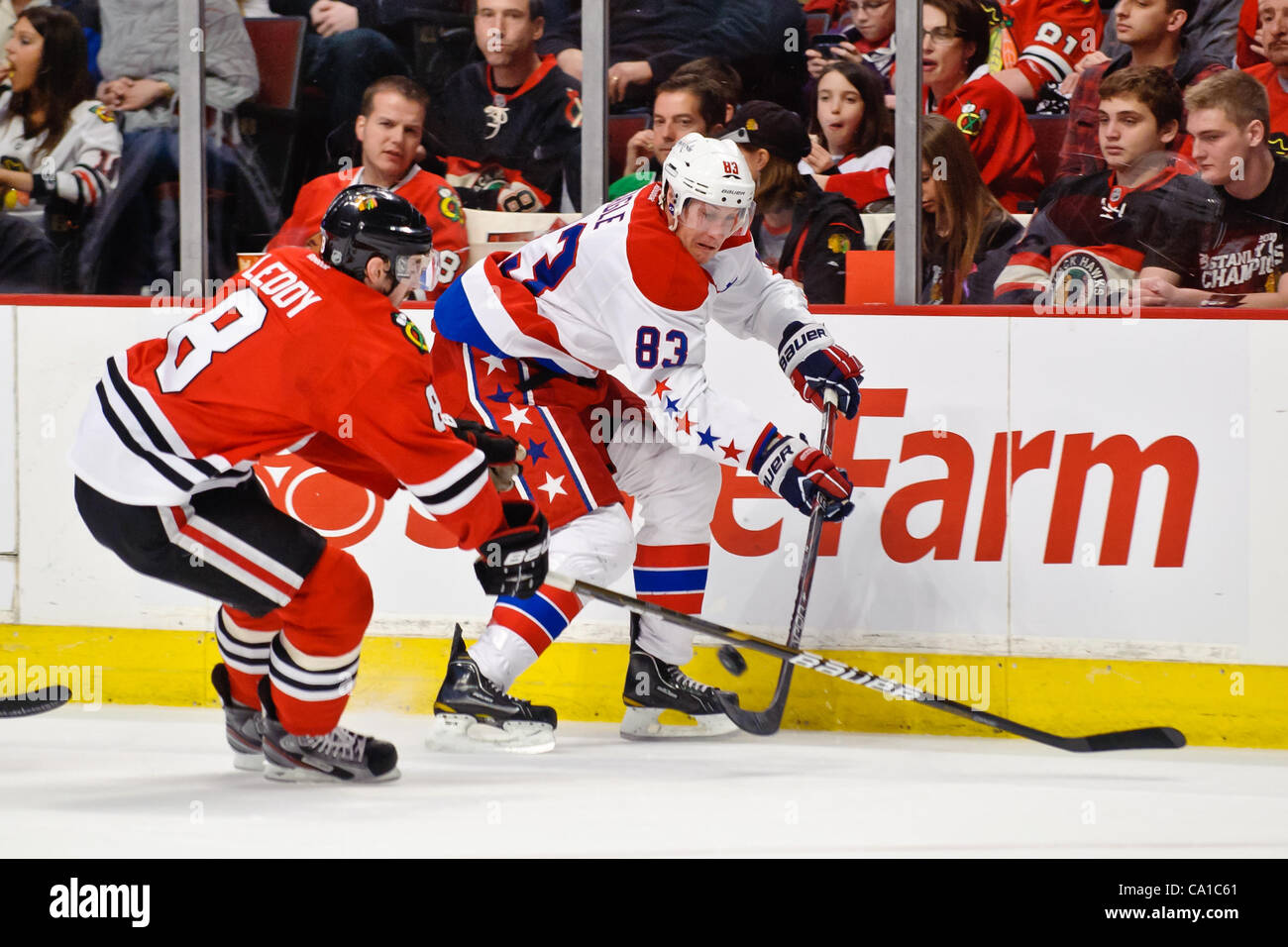 Jay beagle hi-res stock photography and images - Alamy