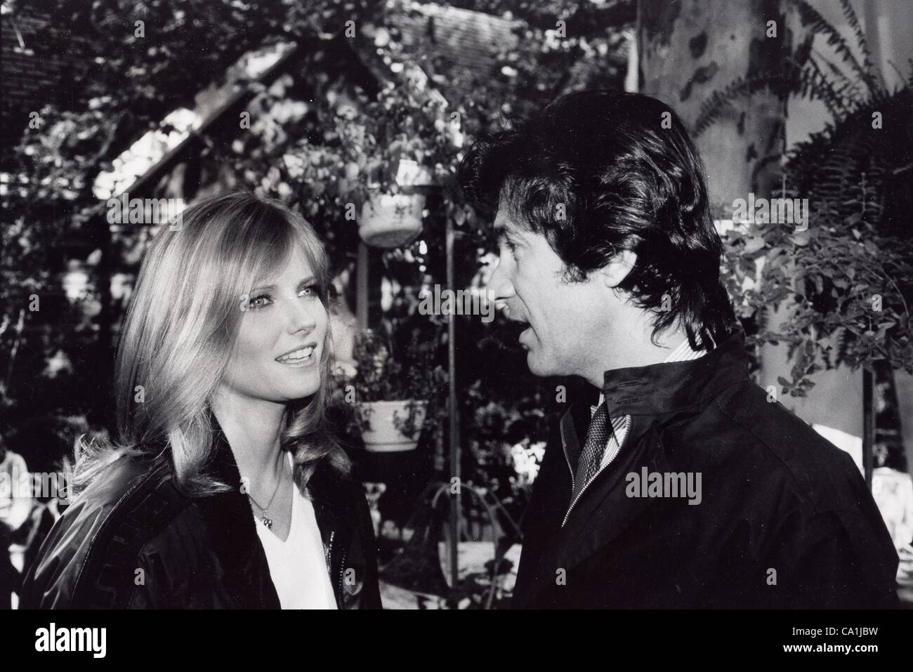 CHERYL TIEGS Stan Dragoti 1980.Supplied by Photos, inc.(Credit Image: Â ...