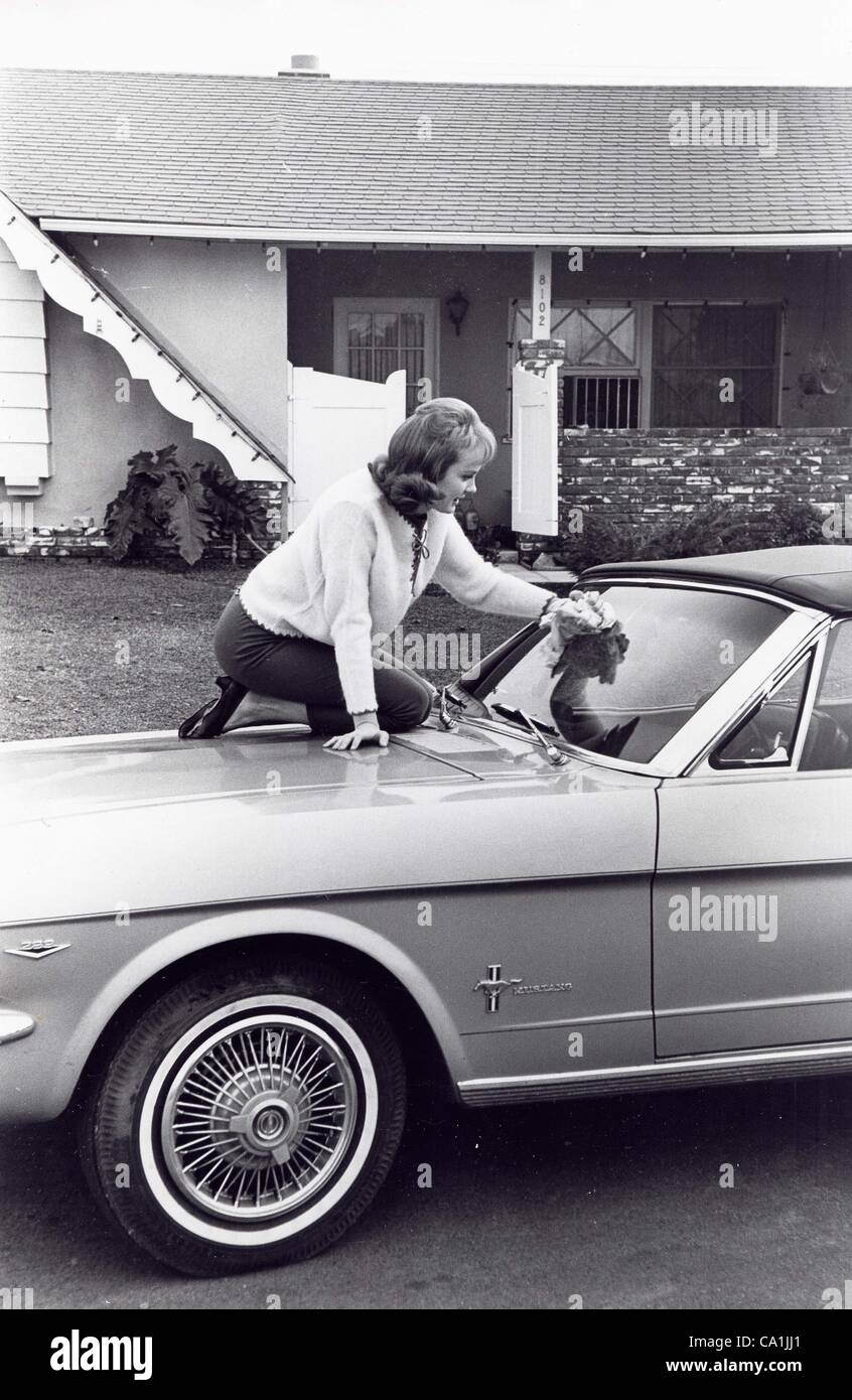 Debbie watson hi-res stock photography and images - Alamy