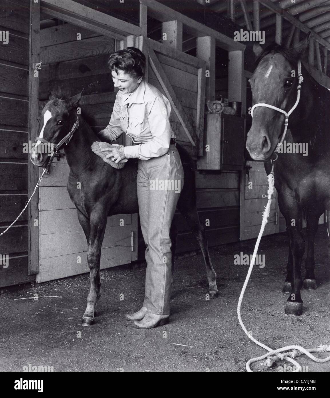 AMANDA BLAKE 1960.Supplied by Photos, inc.(Credit Image: Â© Supplied By ...