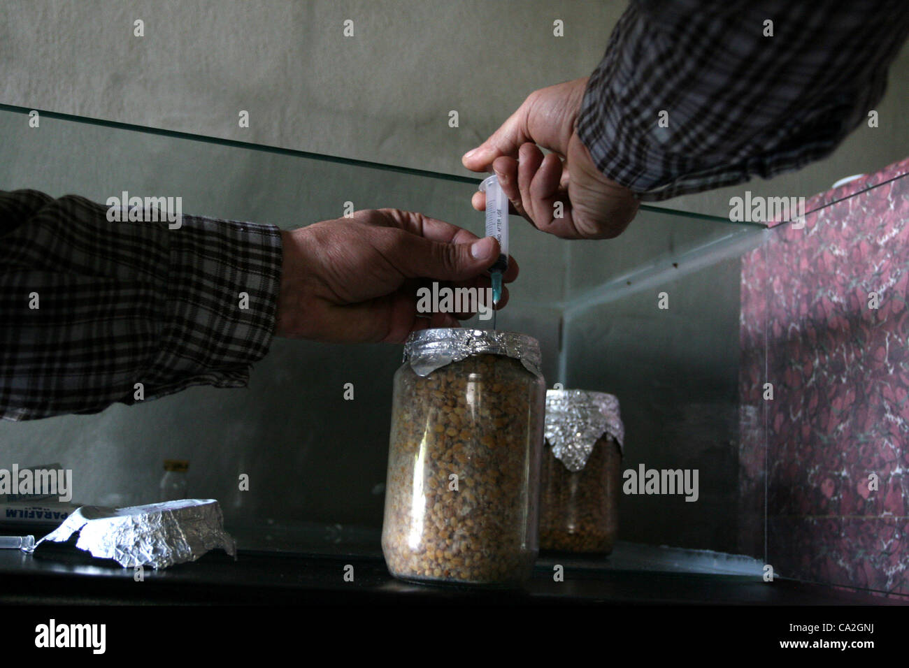 March 24, 2012 - Ramallah, West Bank, Palestinian Territory - A ...