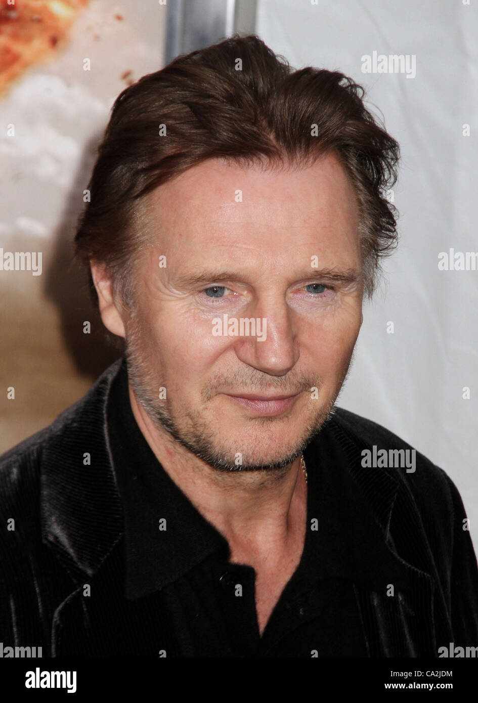 Liam neeson actor headshot hi-res stock photography and images - Alamy