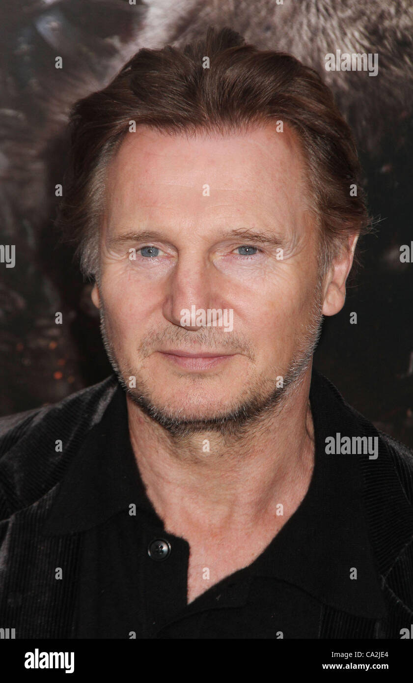 Liam neeson actor headshot hi-res stock photography and images - Alamy