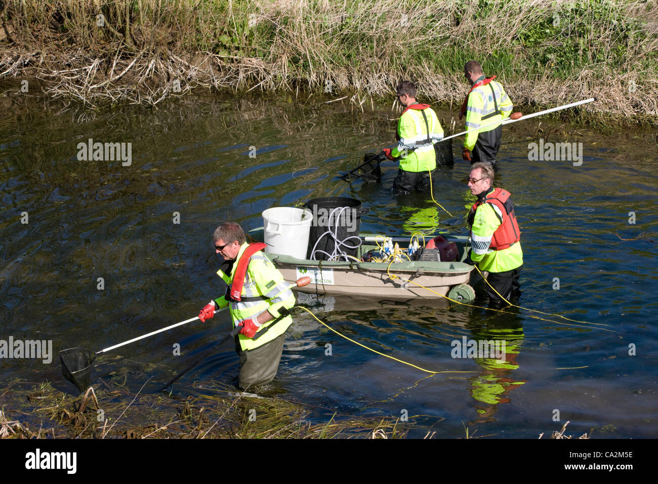 Environment Agency officers rescuing fish from the 9K long Maxey Cut ...