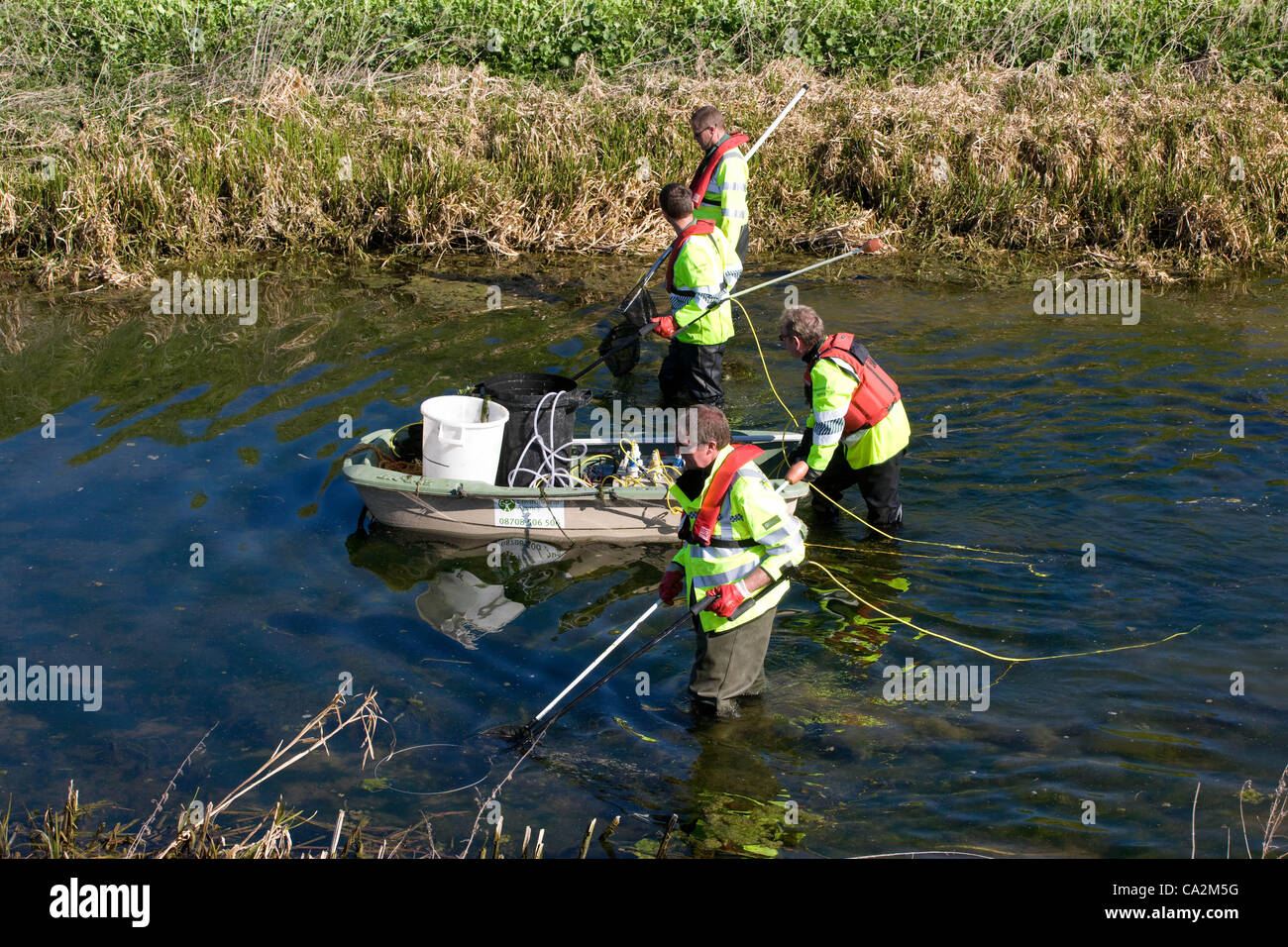 Environment Agency officers rescuing fish from the 9K long Maxey Cut ...