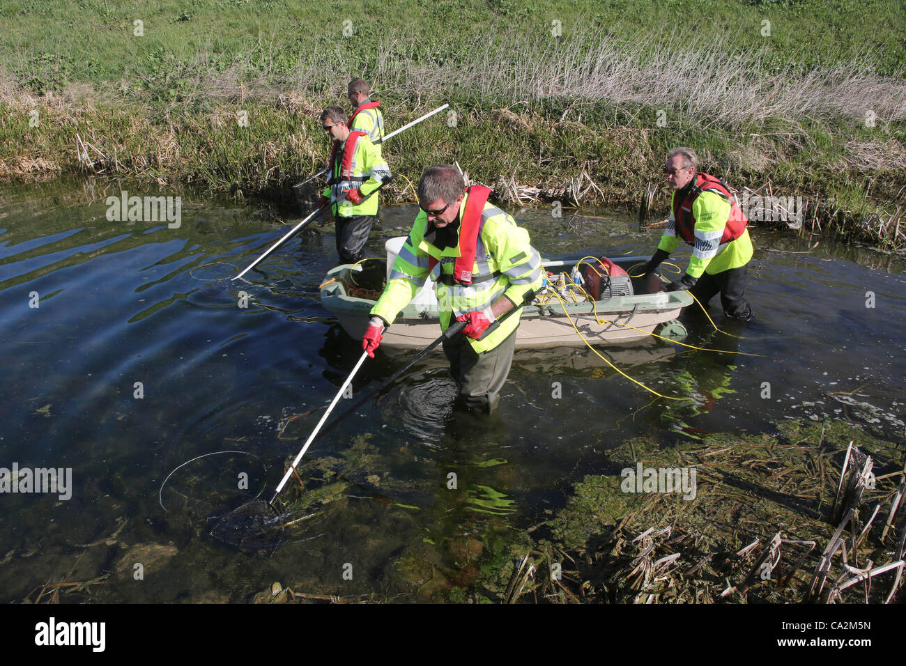 Environment Agency officers rescuing fish from the 9K long Maxey Cut ...
