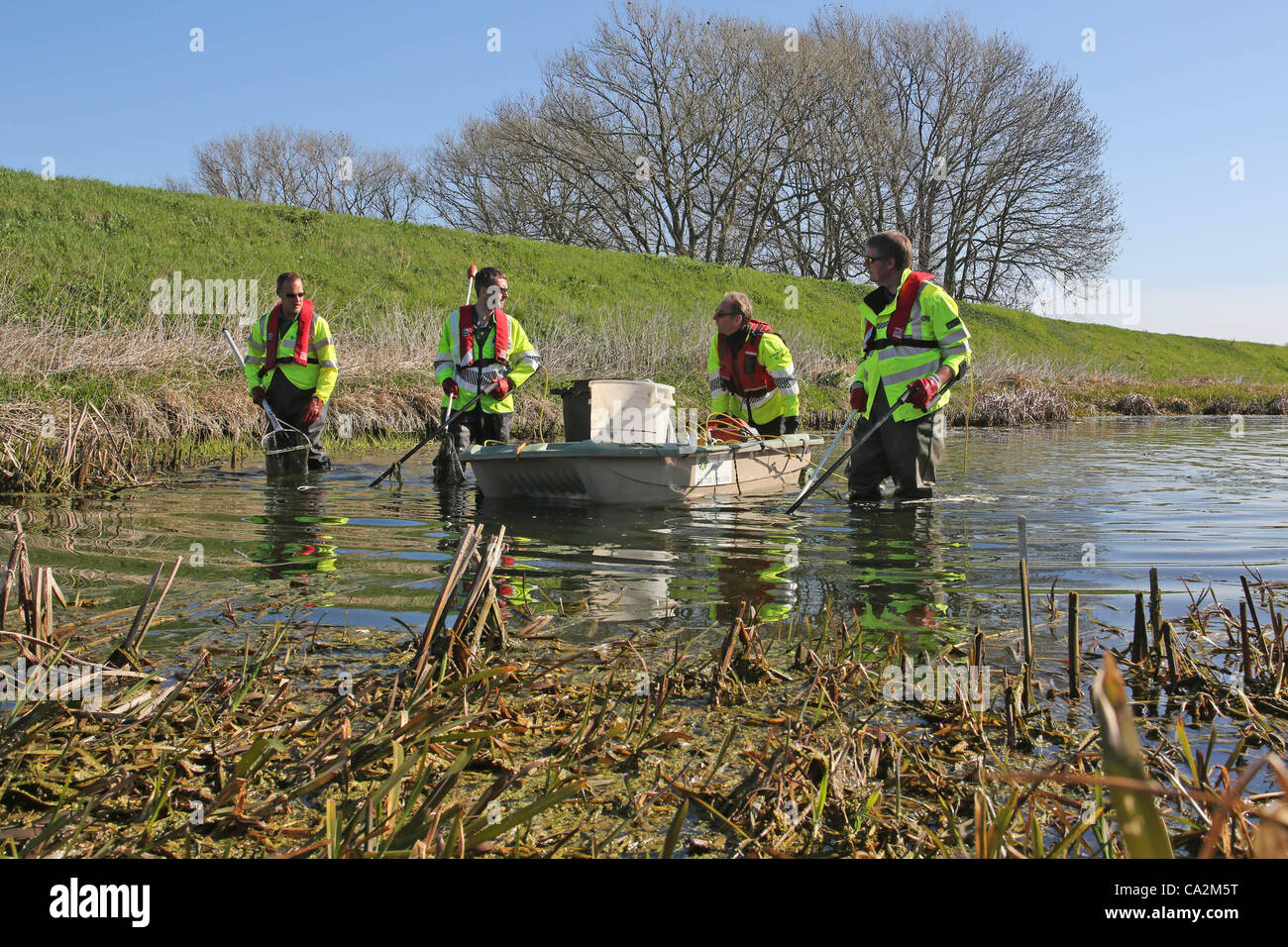Environment Agency officers rescuing fish from the 9K long Maxey Cut ...