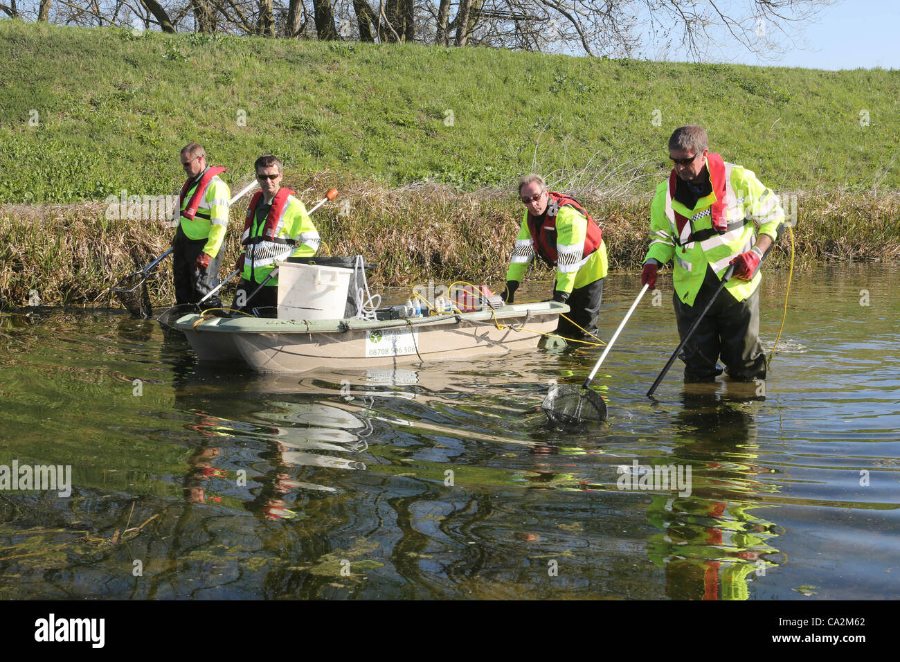 Environment Agency officers rescuing fish from the 9K long Maxey Cut ...