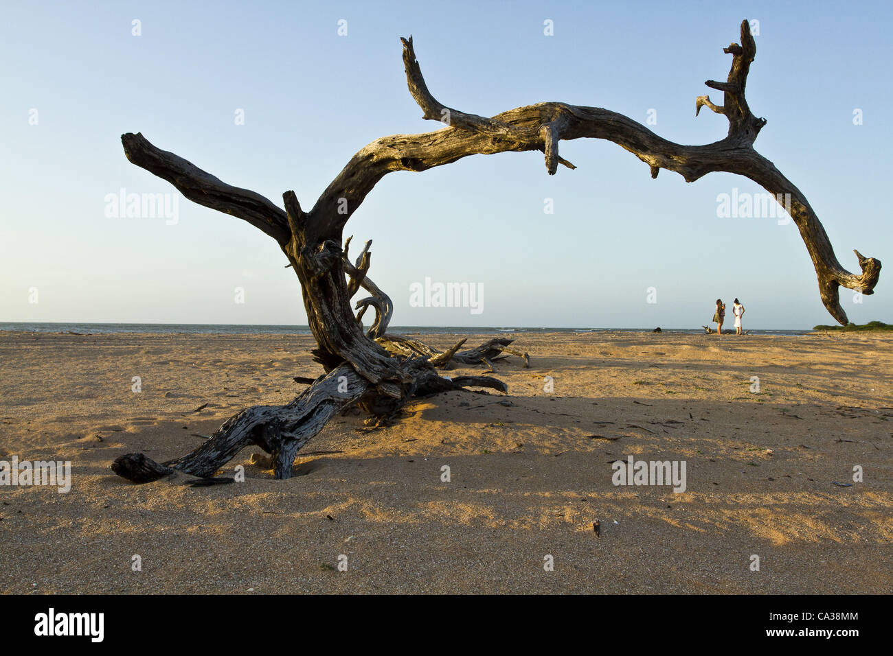 May 18, 2012 - Falcon, Falcon, Venezuela - Beach in Medanos Blancos ...