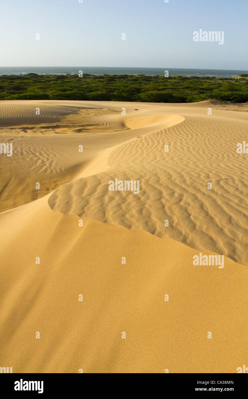 May 18, 2012 - Falcon, Falcon, Venezuela - Medanos Blancos (White Dunes ...