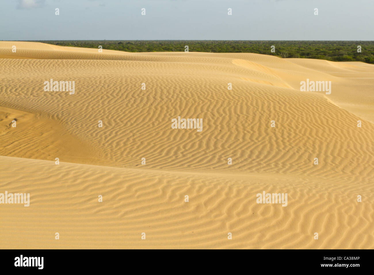 May 18, 2012 - Falcon, Falcon, Venezuela - Medanos Blancos (White Dunes ...