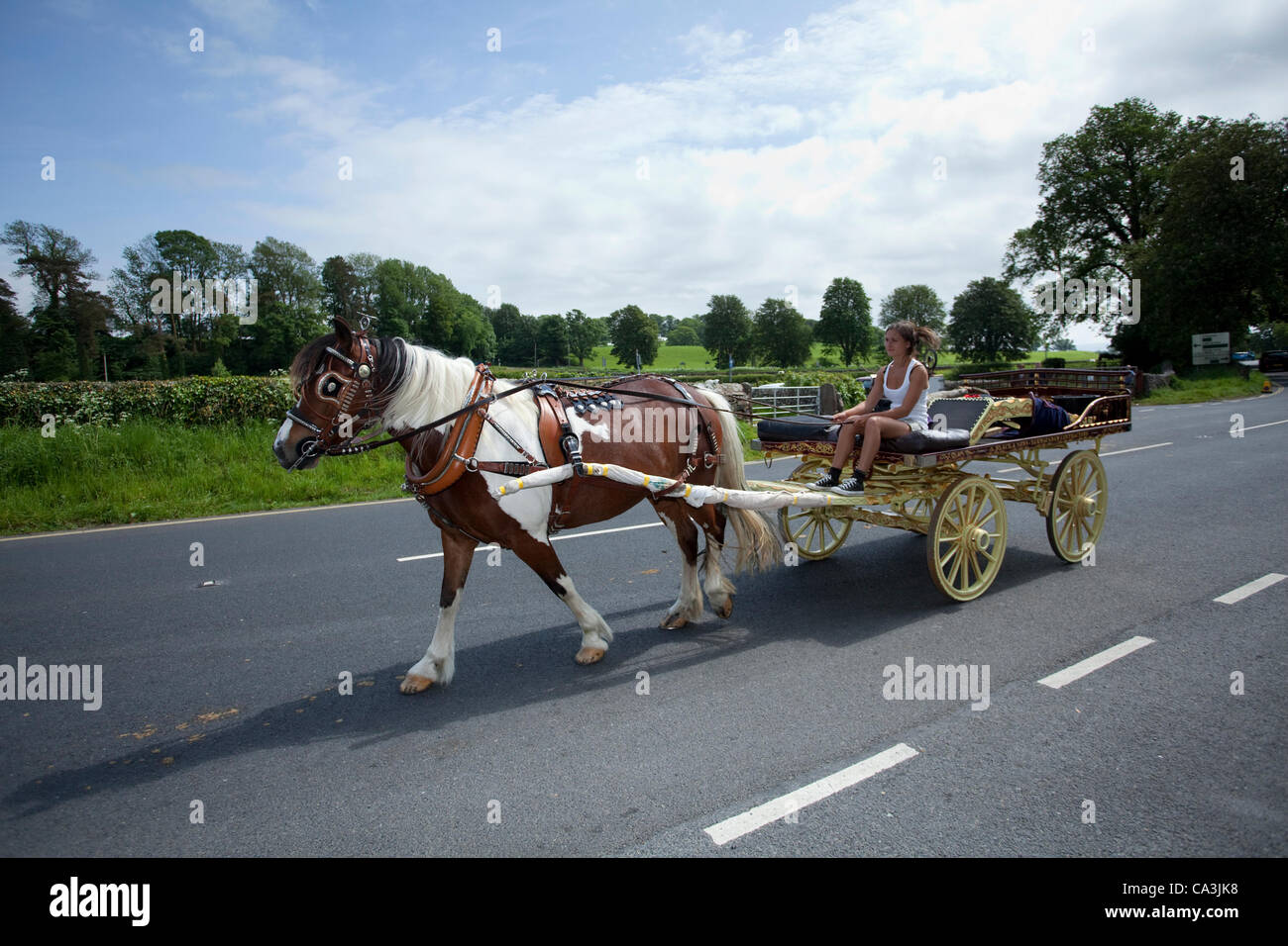 Gypsy Wagon Camping High Resolution Stock Photography and Images - Alamy