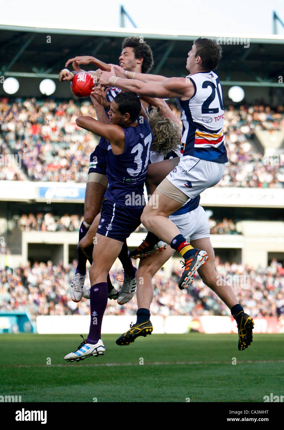 Australian crows hi-res stock photography and images - Alamy