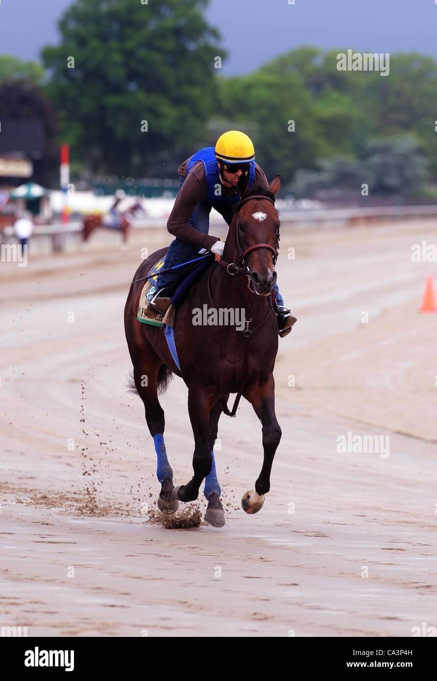 June 2, 2012 - Elmont, New York, U.S. - Belmont Stakes hopeful PAYNTER ...
