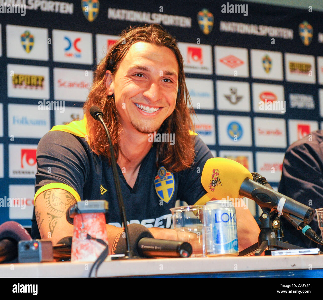 Sweden national soccer team hi-res stock photography and images - Alamy