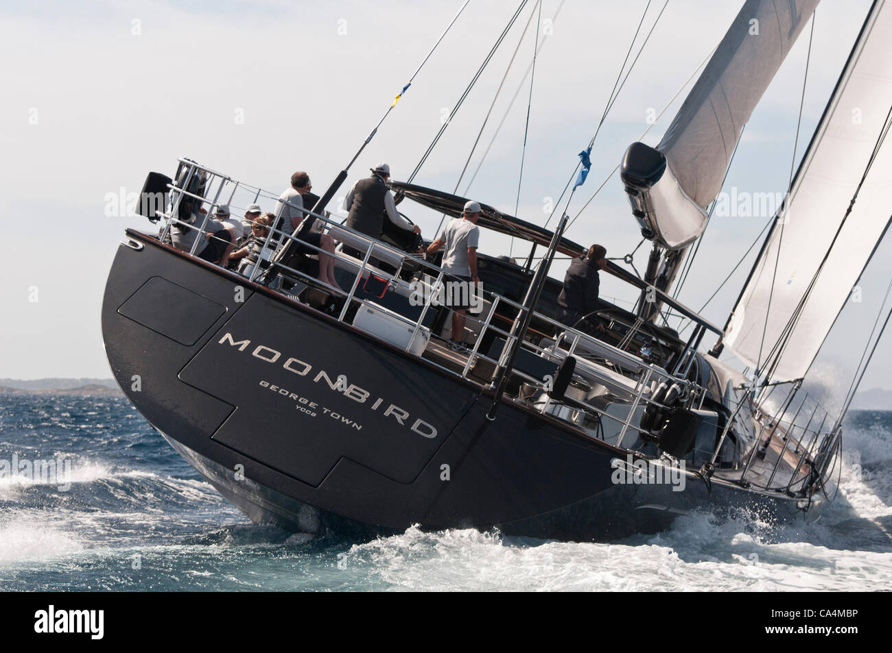 Moonbird Sailboat Clipart