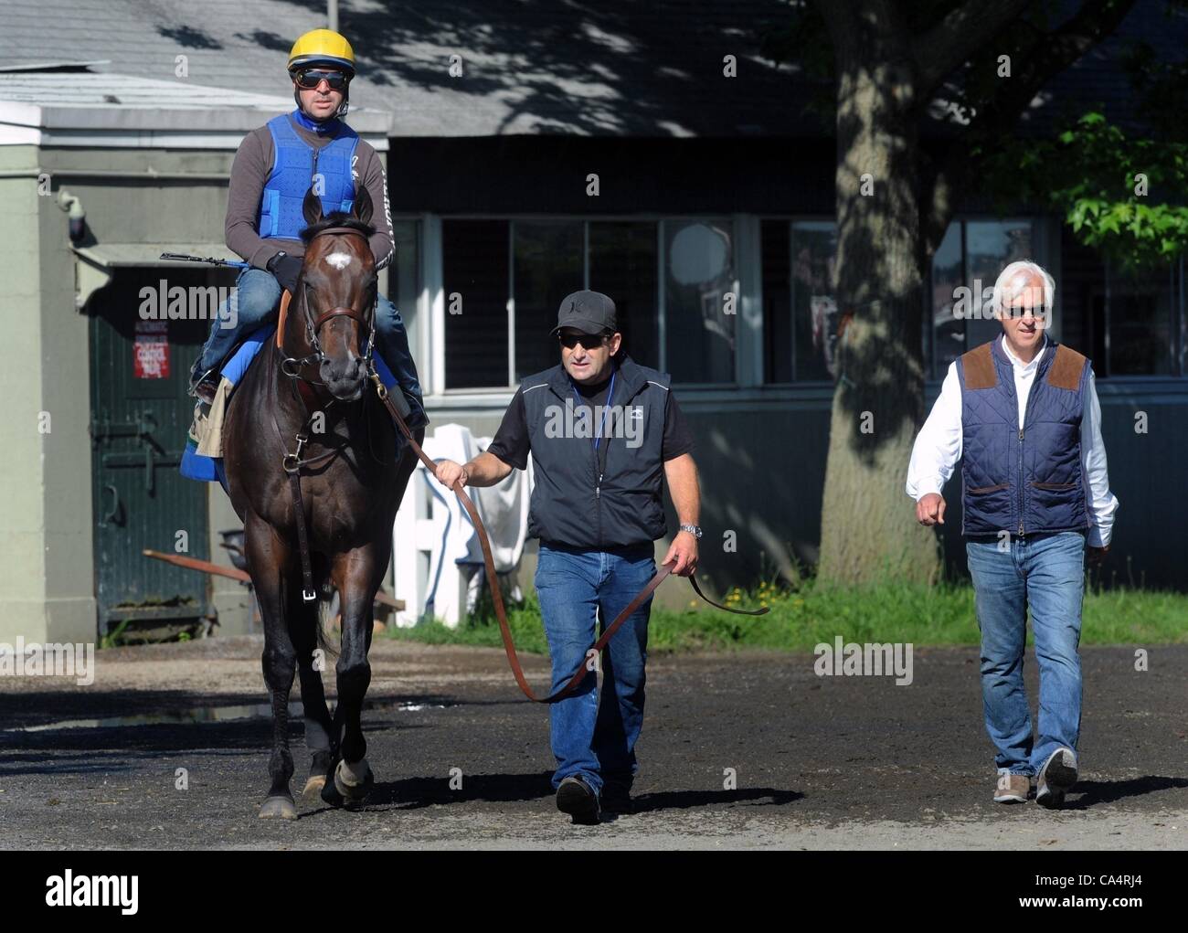 June 7, 2012 - Elmont, New York, U.S. - Belmont Stakes contender ...