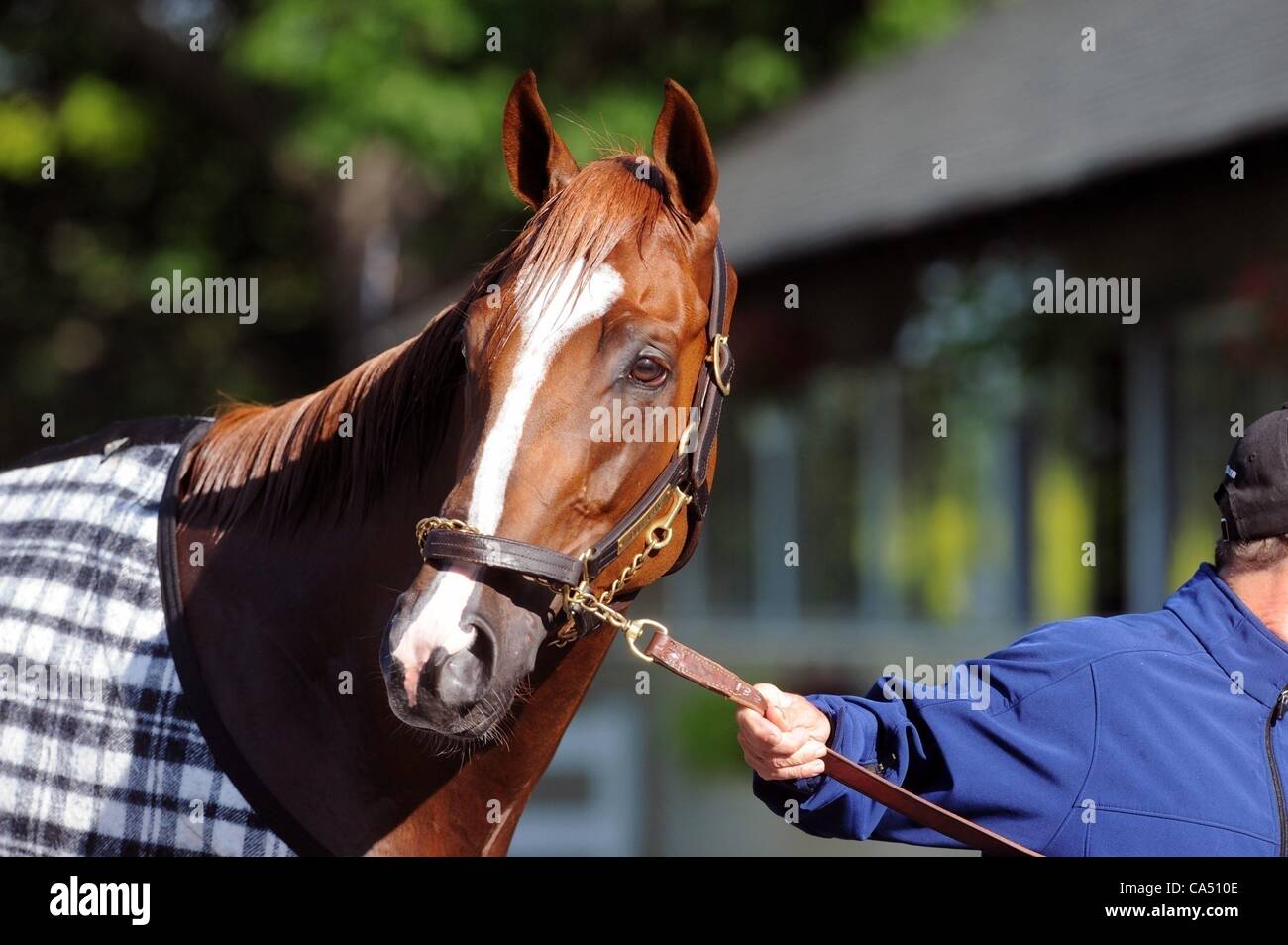 June 8, 2012 - Elmont, New York, U.S. - Belmont Stakes contender ...