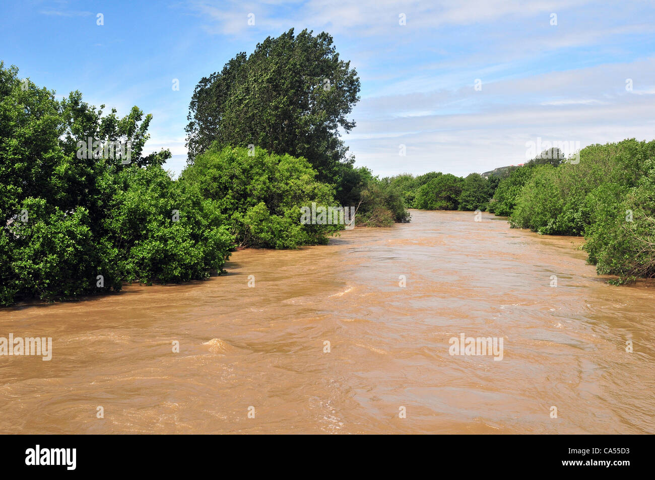 Saturday 9th June 2012. The River Rheidol in flood near Aberystwyth ...