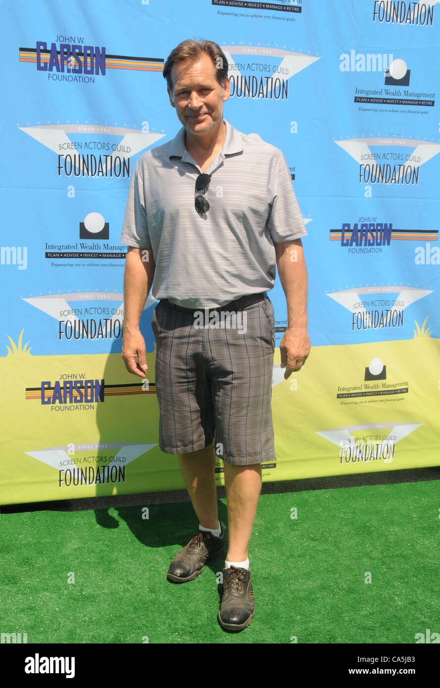 June 10 2012 Los Angeles California Us James Remar Attending The 3rd Annual Screen