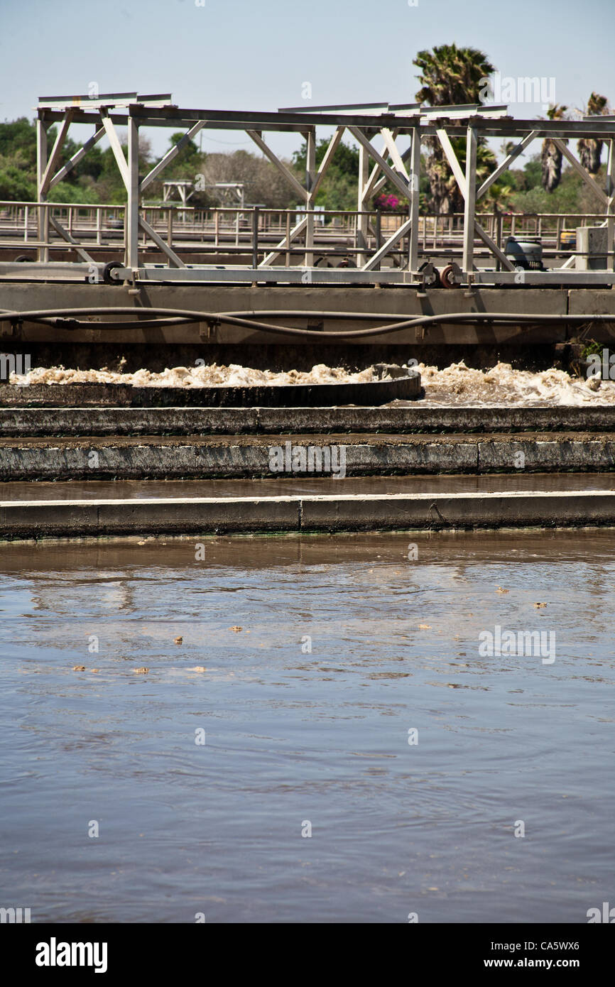 There are four biological reactors at the Dan Region Wastewater ...