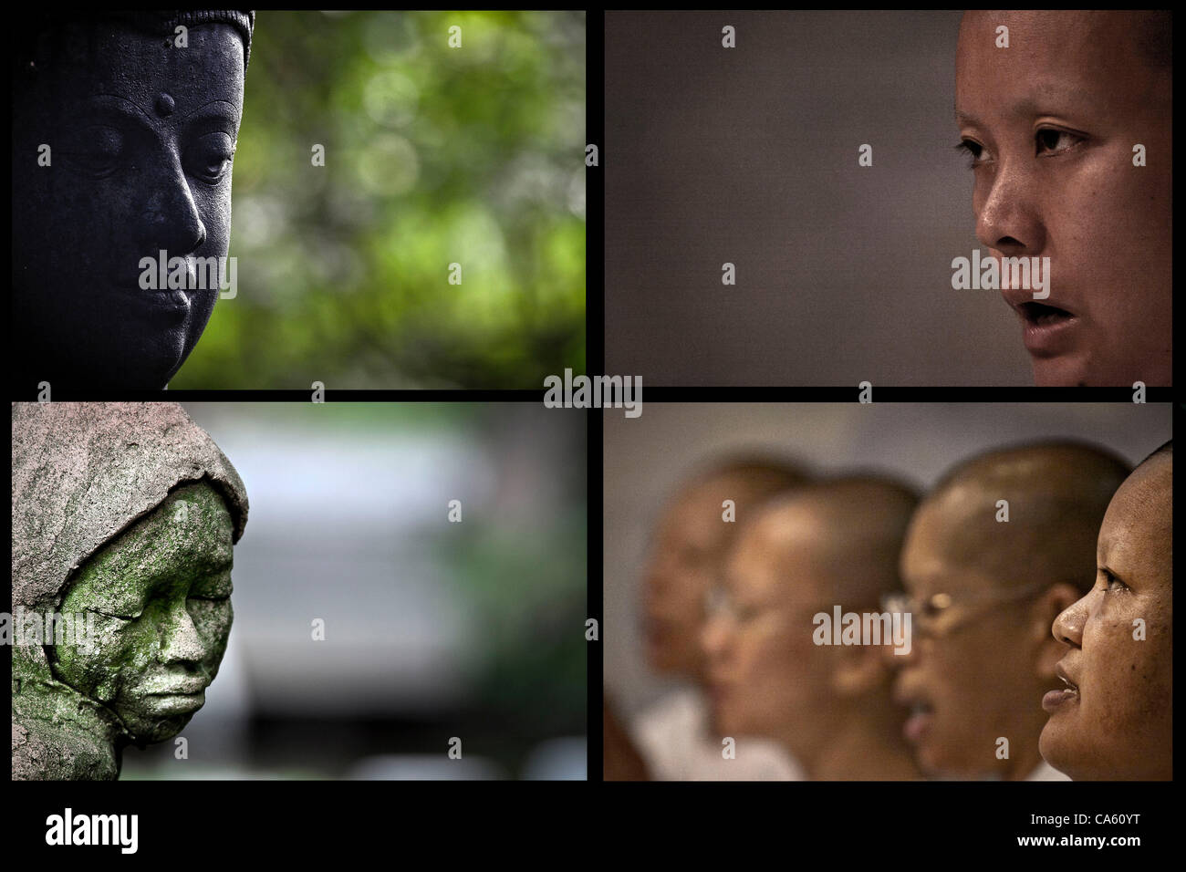 Despite the most often Thai society consider nuns to be spiritually ...