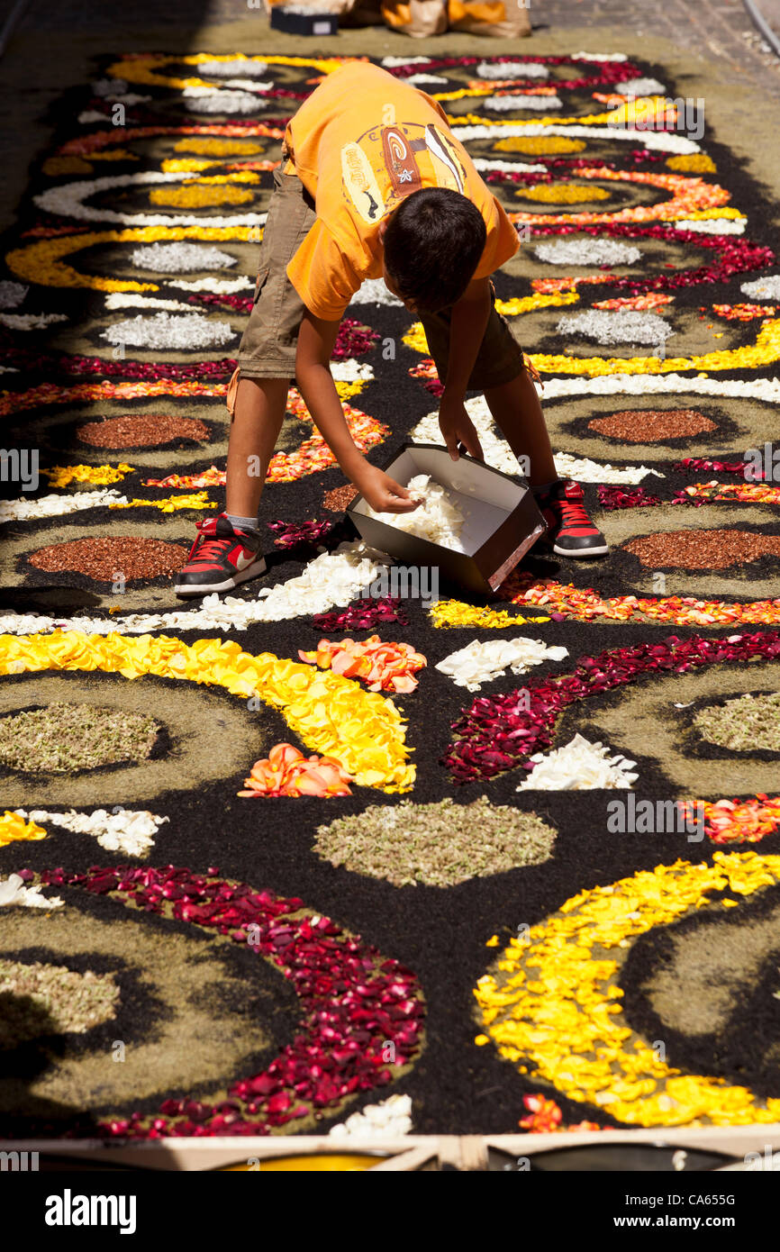 The Corpus Christi flower carpets in La Orotava, an annual tradition on ...
