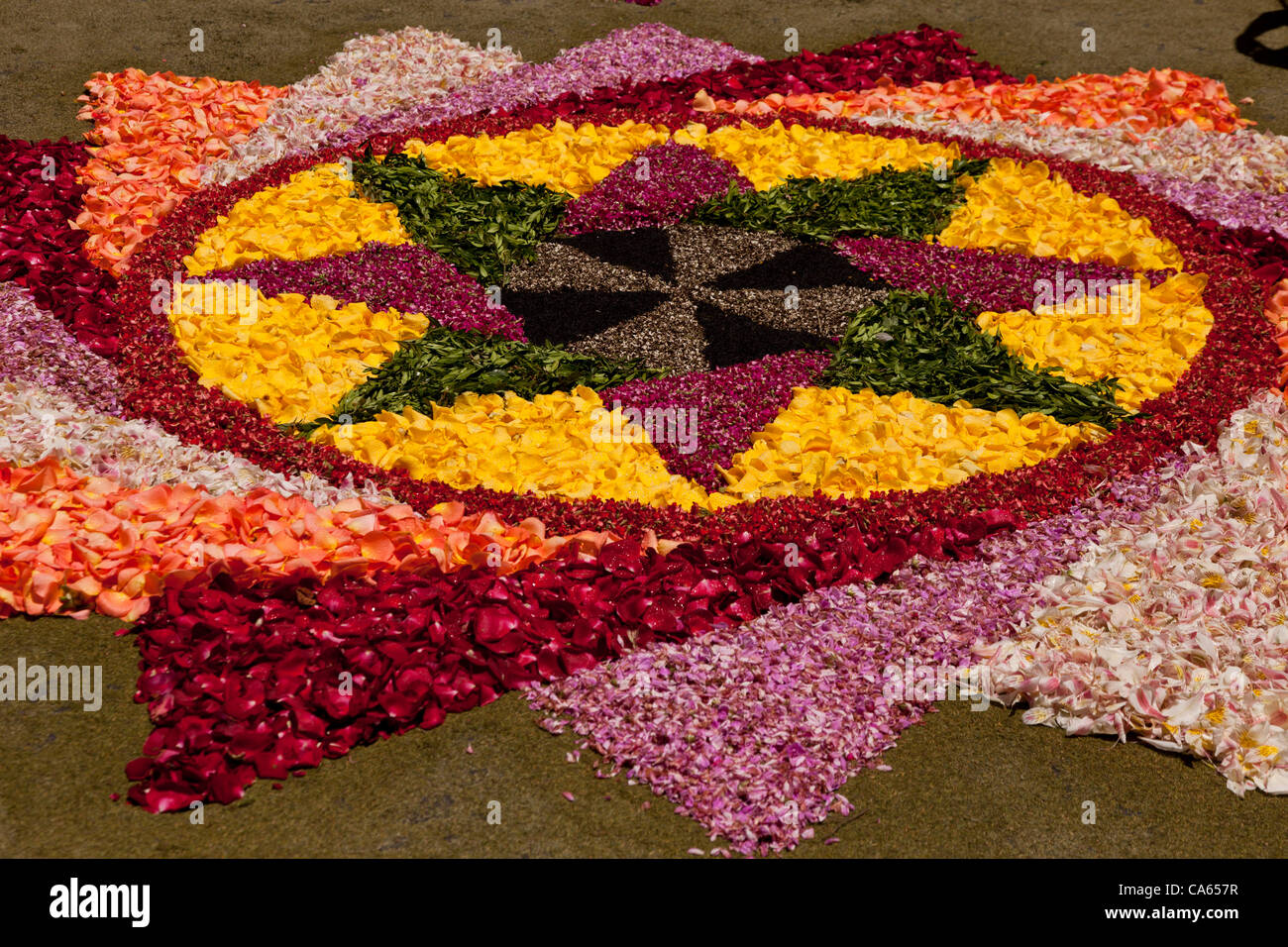 The Corpus Christi flower carpets in La Orotava, an annual tradition on ...