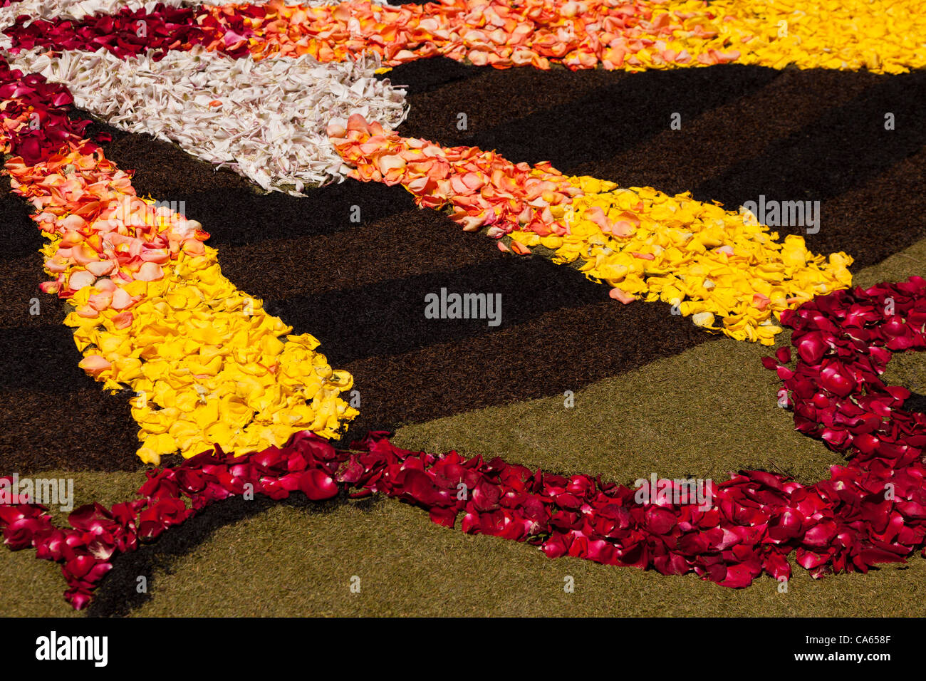 The Corpus Christi flower carpets in La Orotava, an annual tradition on ...