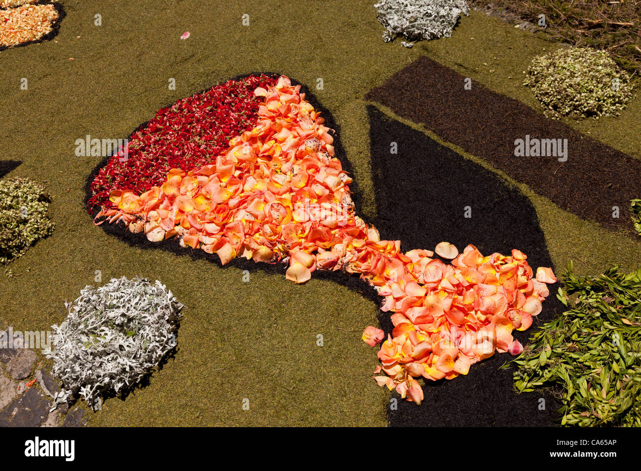 The Corpus Christi flower carpets in La Orotava, an annual tradition on ...