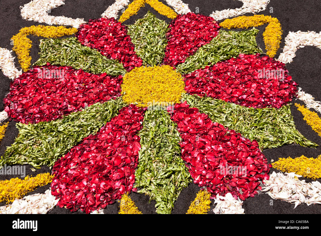The Corpus Christi flower carpets in La Orotava, an annual tradition on ...