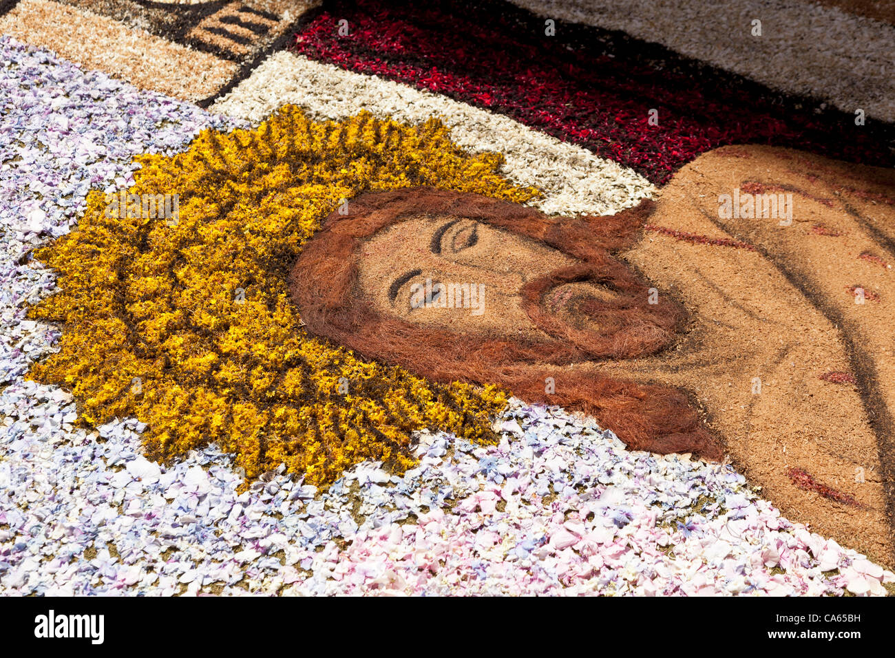 The Corpus Christi flower carpets in La Orotava, an annual tradition on ...