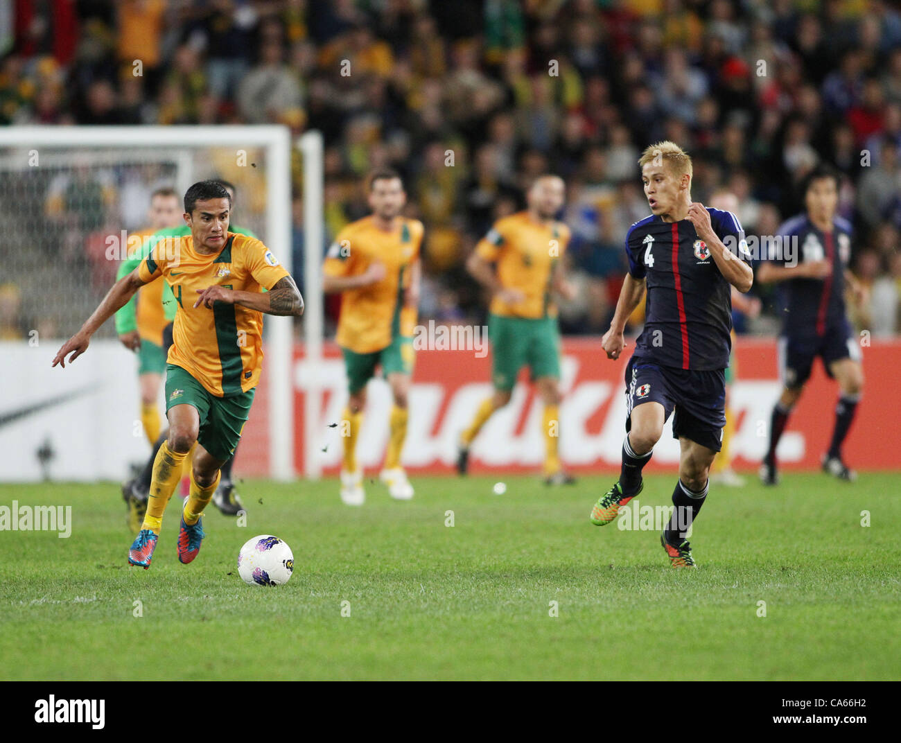 Tim cahill world cup 2014 hi-res stock photography and images - Alamy