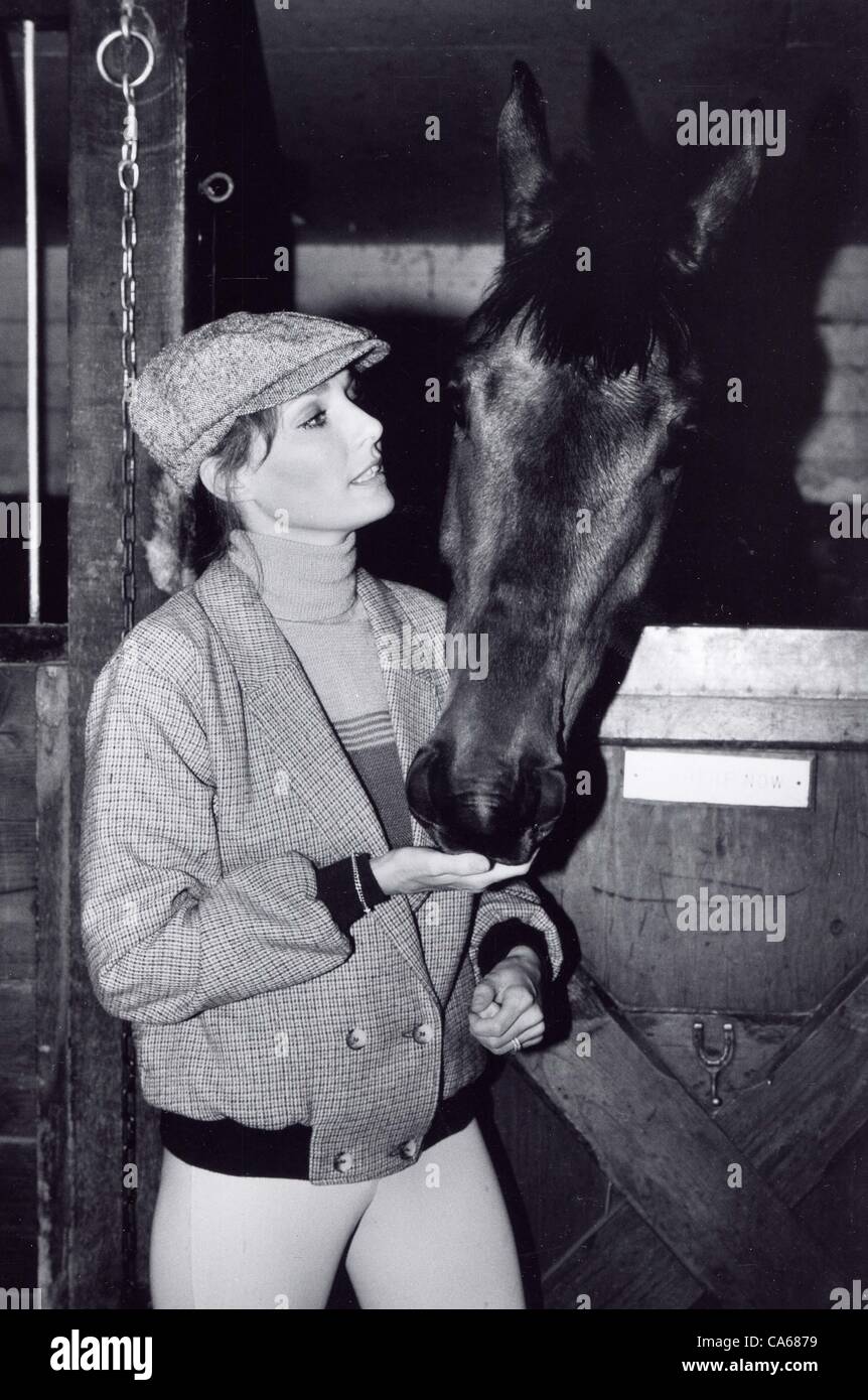Jennifer oneill supplied photos inc credit image hi-res stock ...