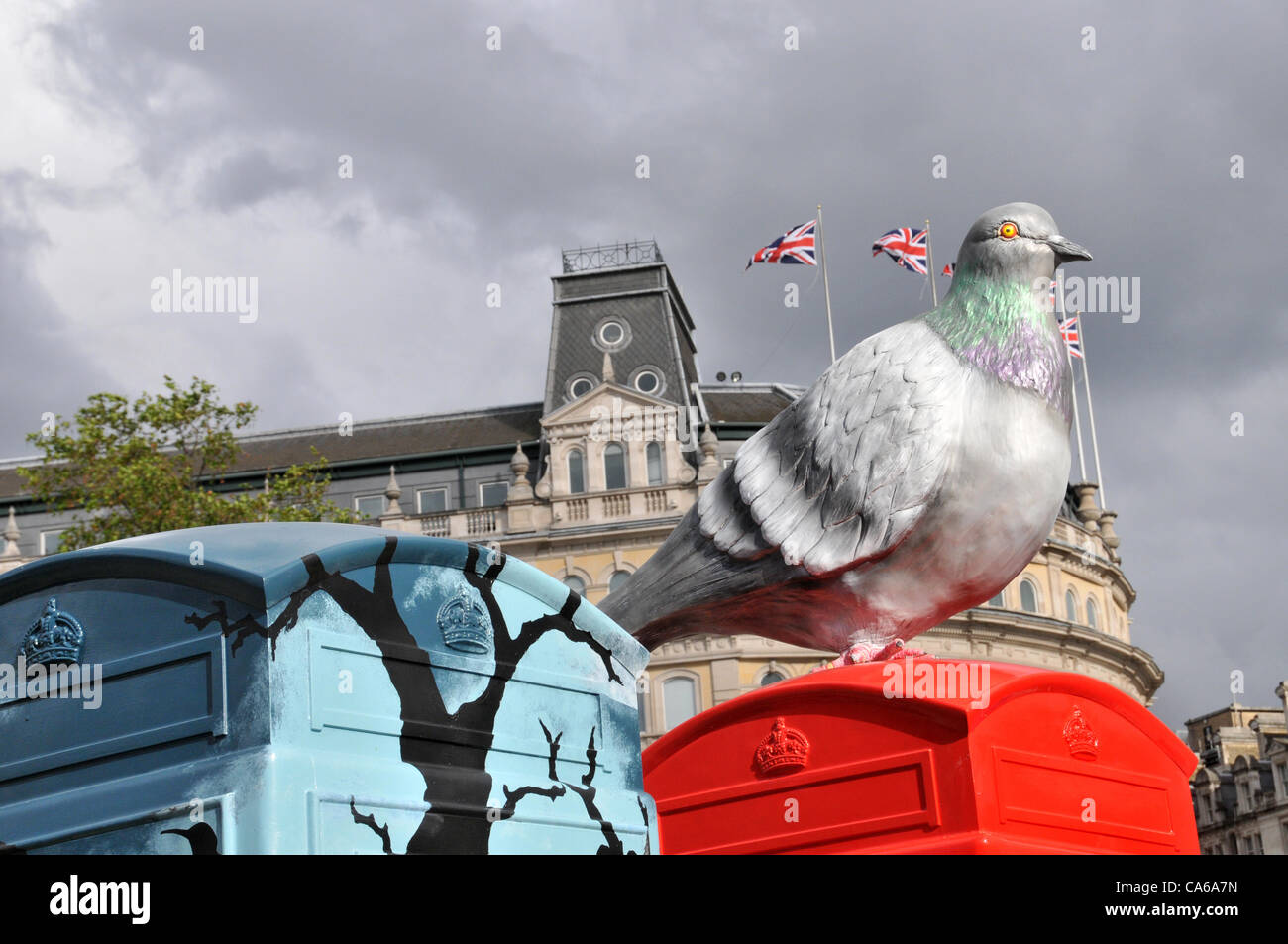 Trafalgar Square, London, UK. 15th June 2012. A giant plastic pigeon on ...