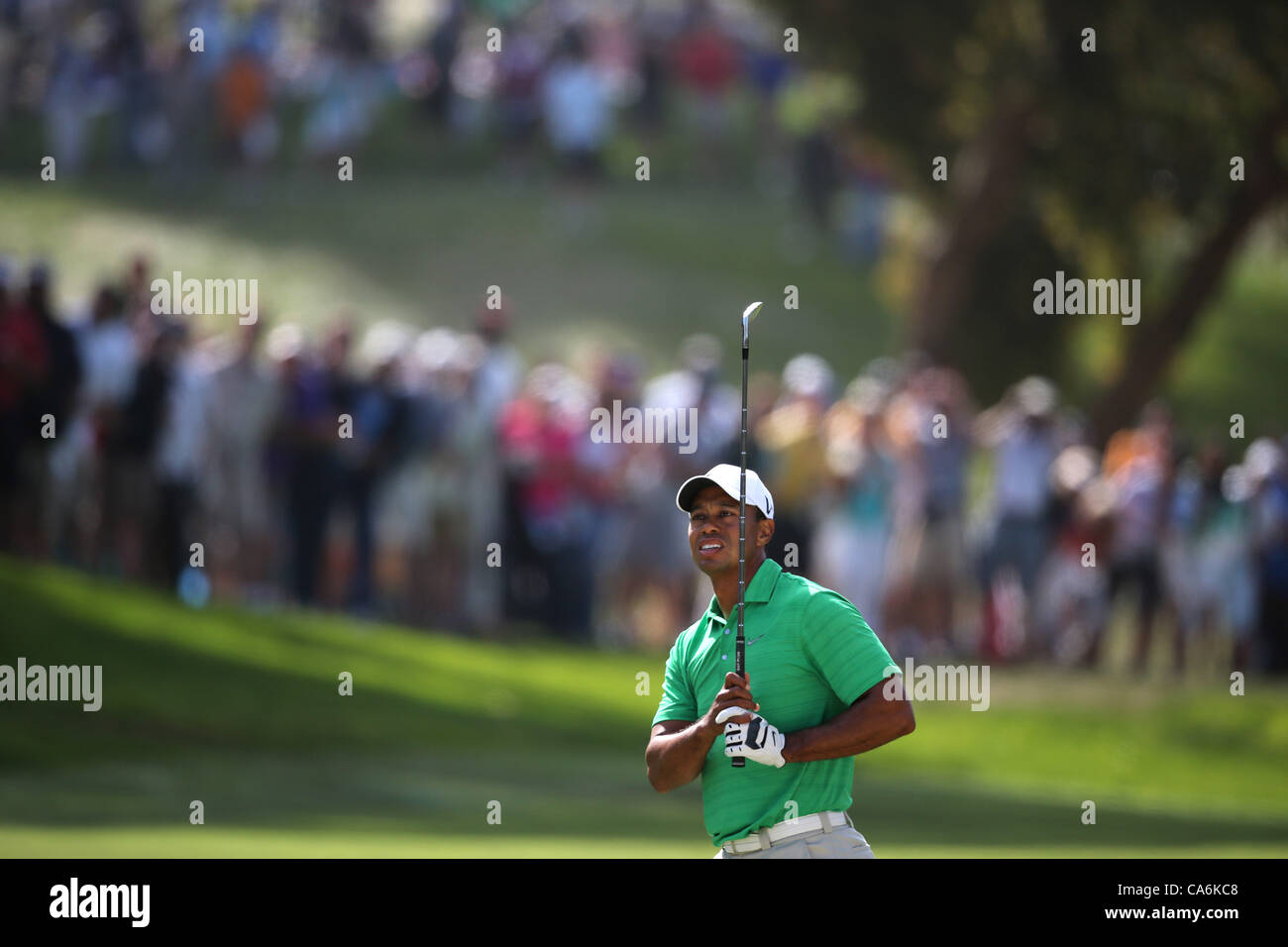 16.06.2012. Olympic Club, San Francisco, California. Tiger Woods (USA ...
