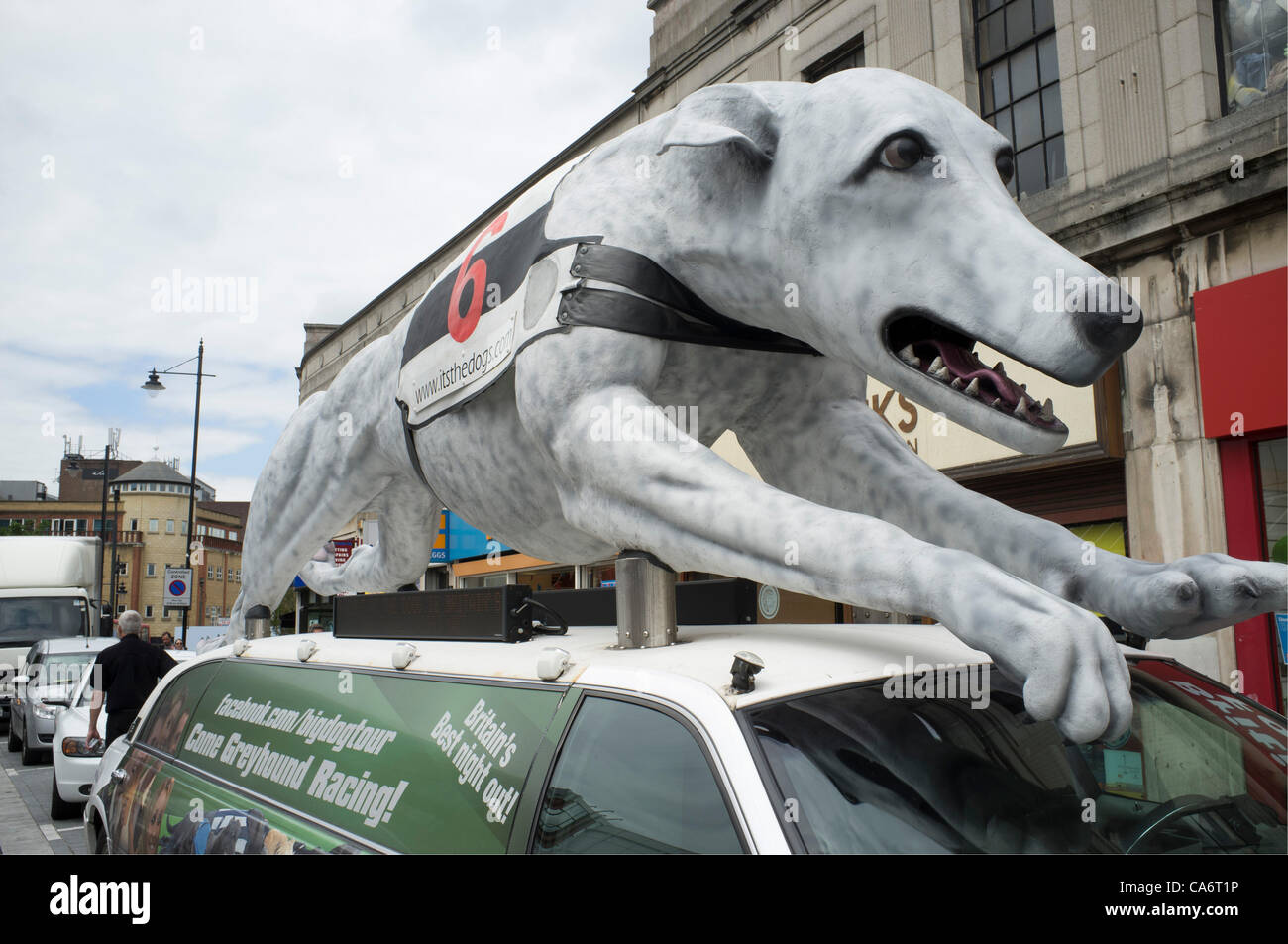Greyhound races hi-res stock photography and images - Alamy