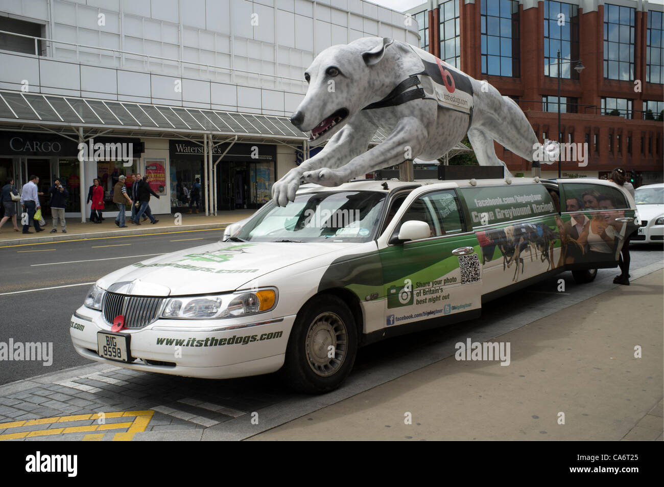 Greyhound racing track uk hi-res stock photography and images - Alamy