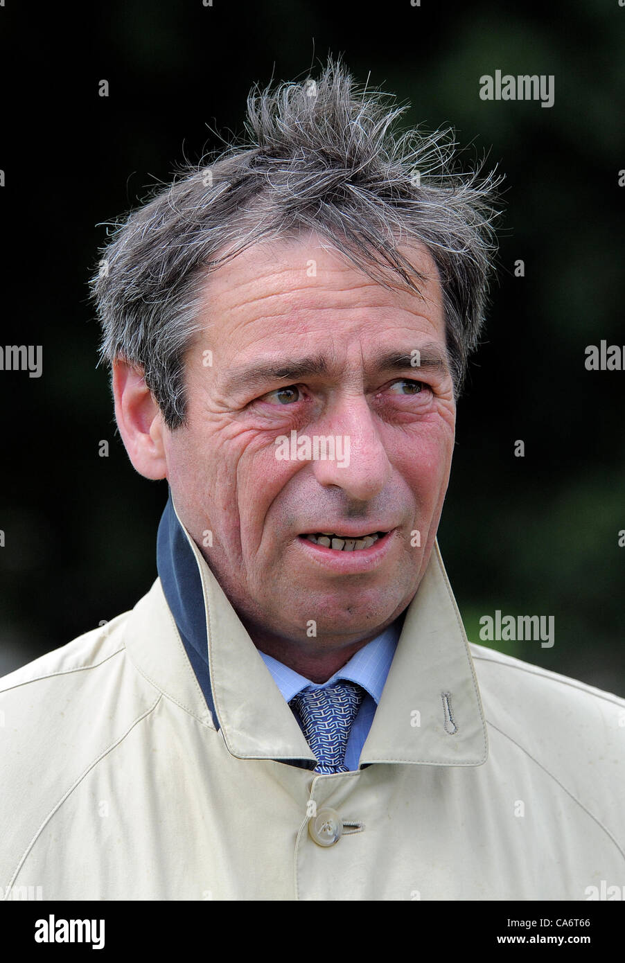 Jarvis hi-res stock photography and images - Alamy