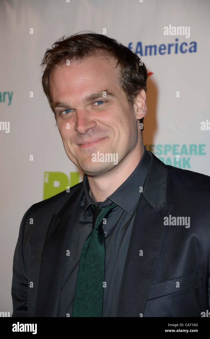 David Harper at arrivals for 50th Anniversary Public Theater Gala ...