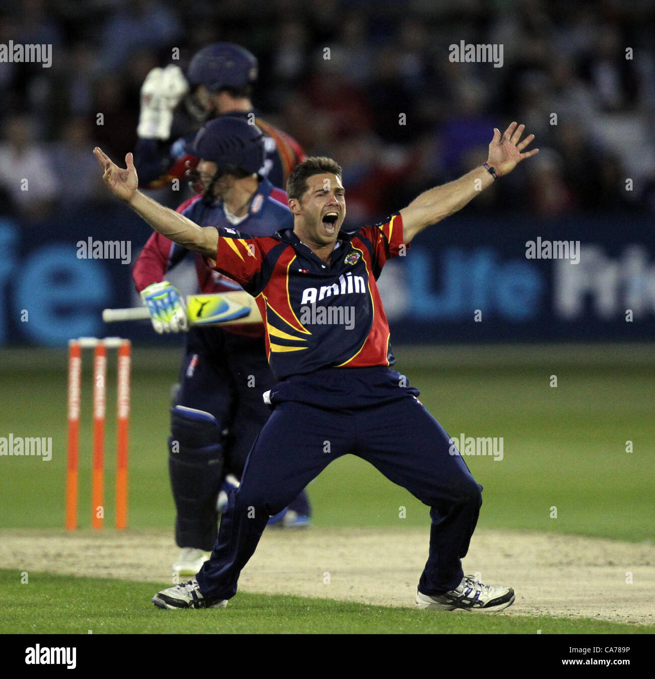 20.06.2012. Ford County Ground, Chelmsford, Essex. Greg Smith appeals ...