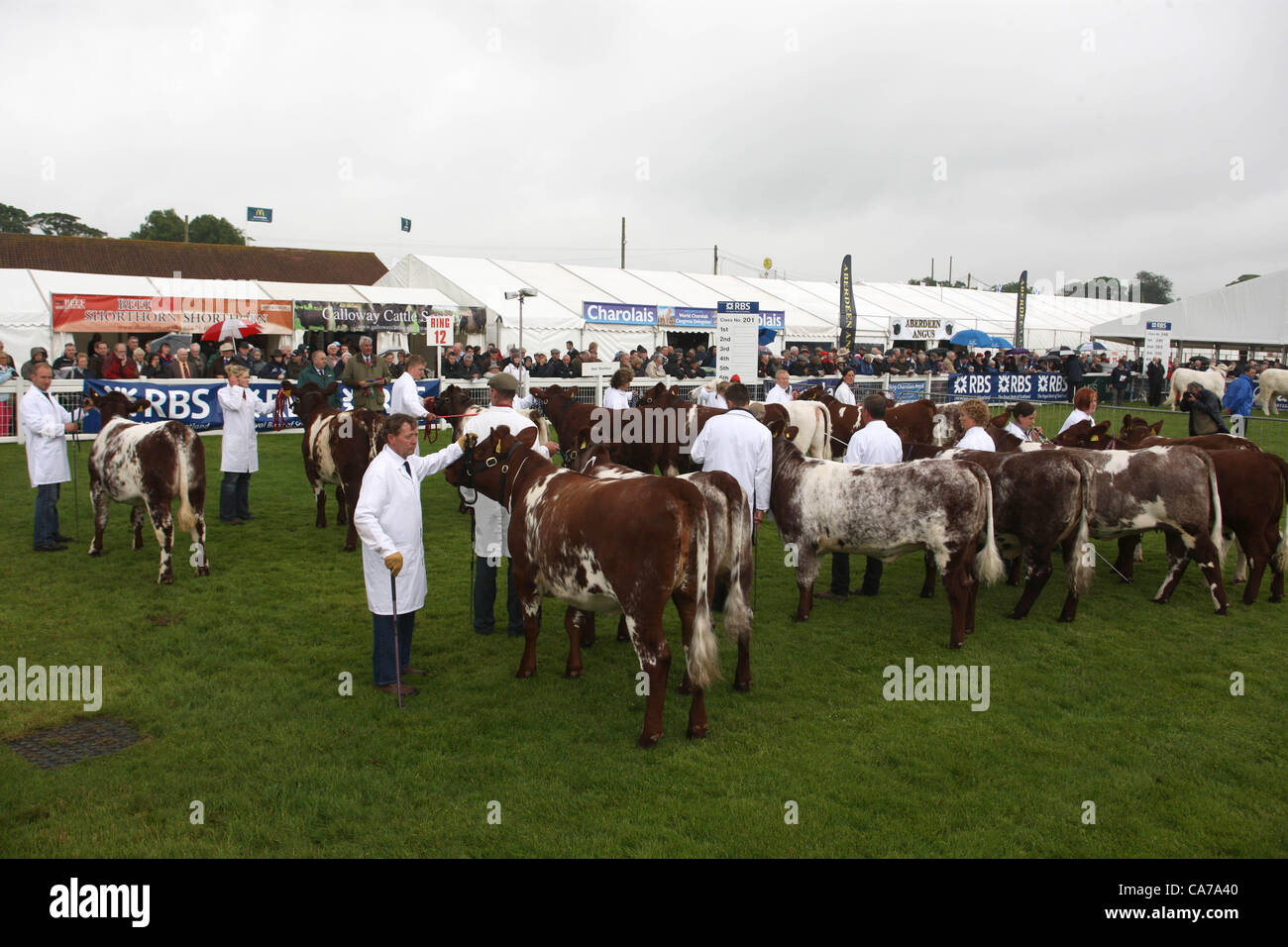 Royal highland show scotland hi-res stock photography and images - Alamy