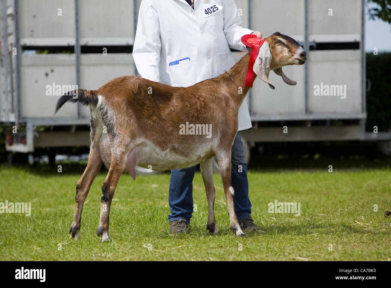 Lincolnshire Events Centre, UK, 20th June 2012. One of the winning ...