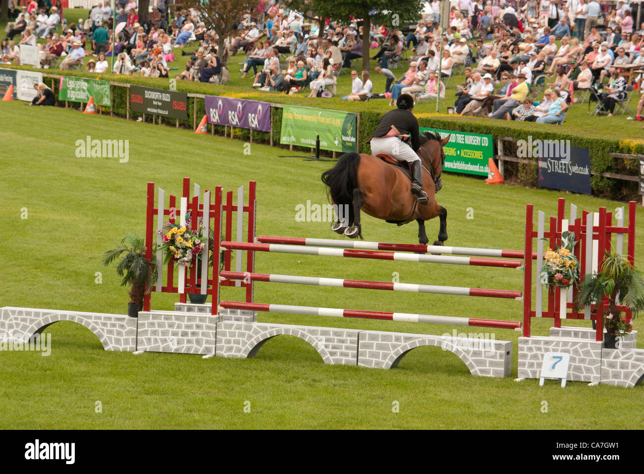 Show jumping in the main arena at the show on June 20th 2012 at the ...