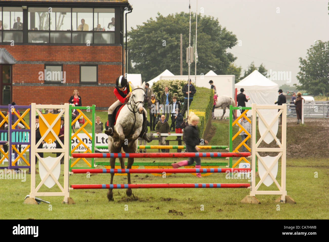 British show jumper hi-res stock photography and images - Alamy